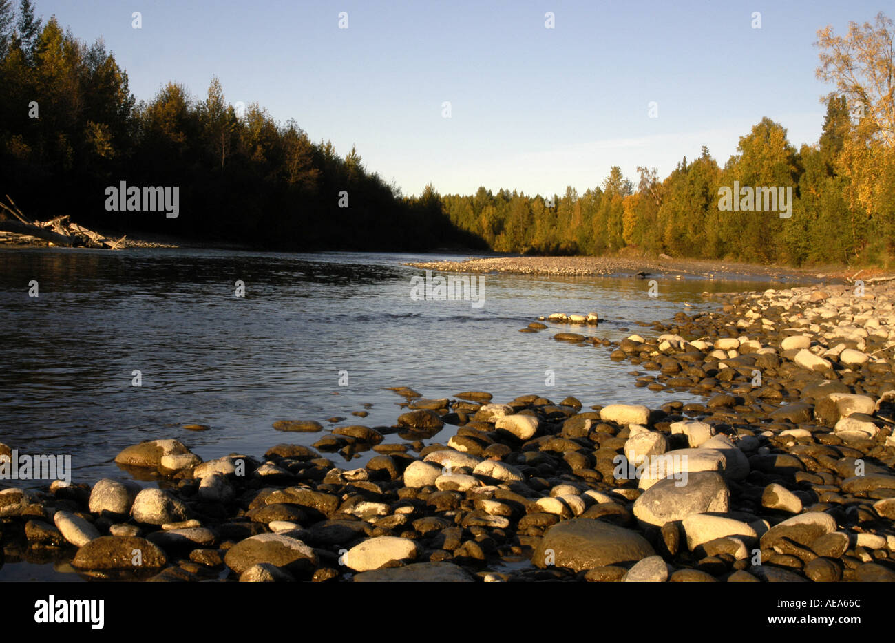 Clear Creek Talkeetna Alaska Stock Photo - Alamy