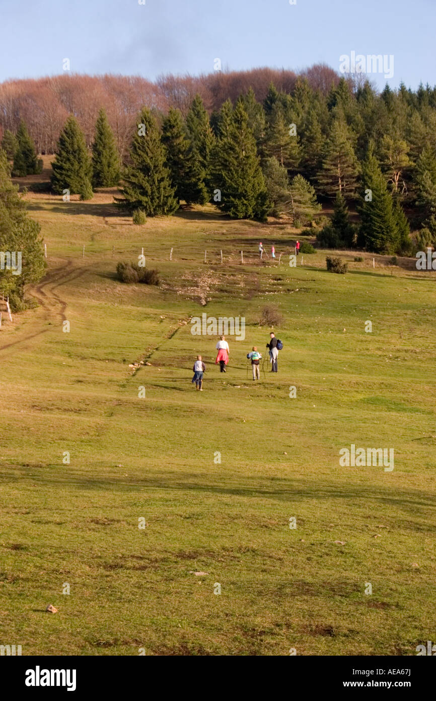 Hiking trail on Slivnica Mountain, Slovenia Stock Photo - Alamy