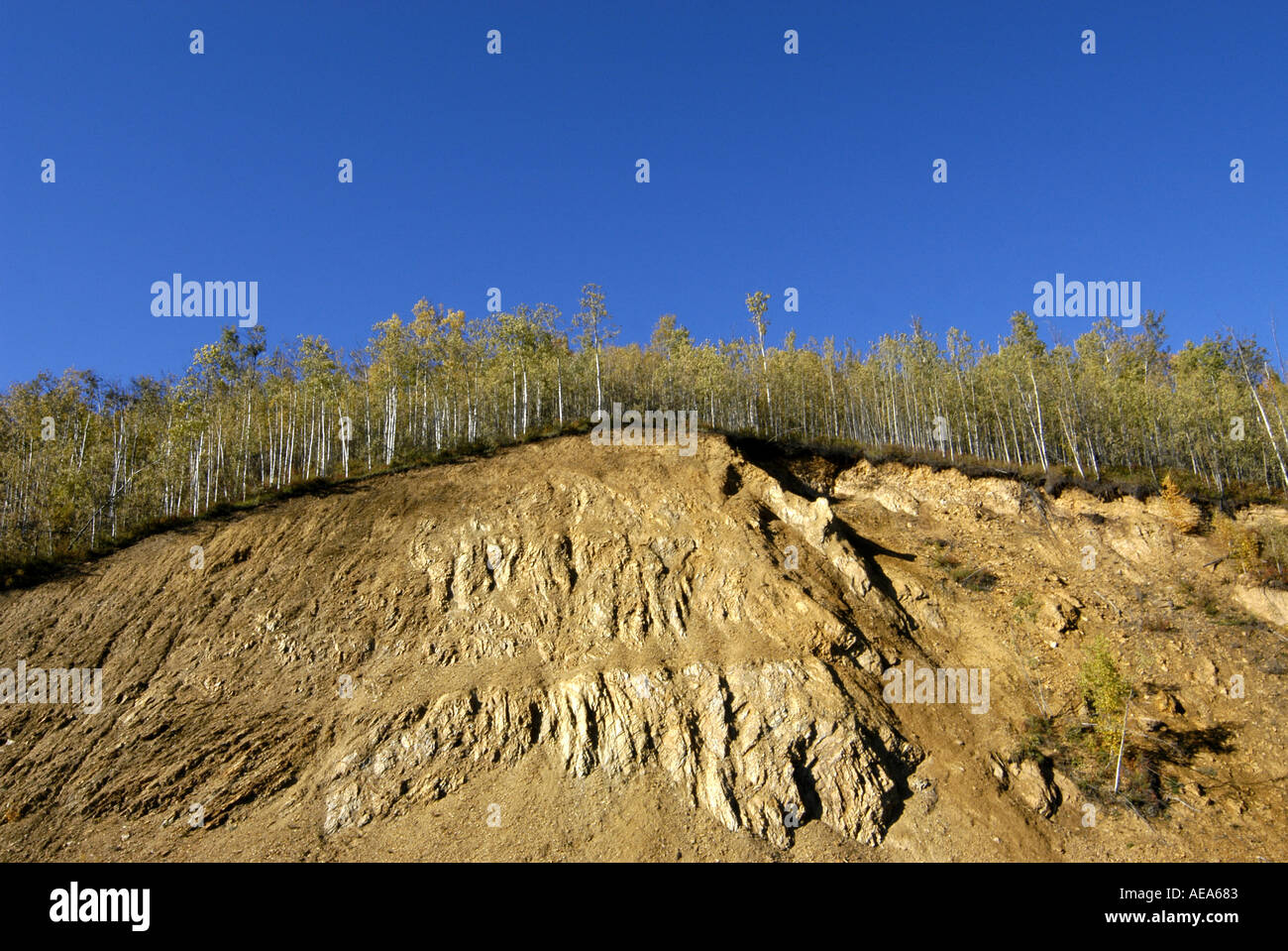 Hill side and trees Stock Photo - Alamy