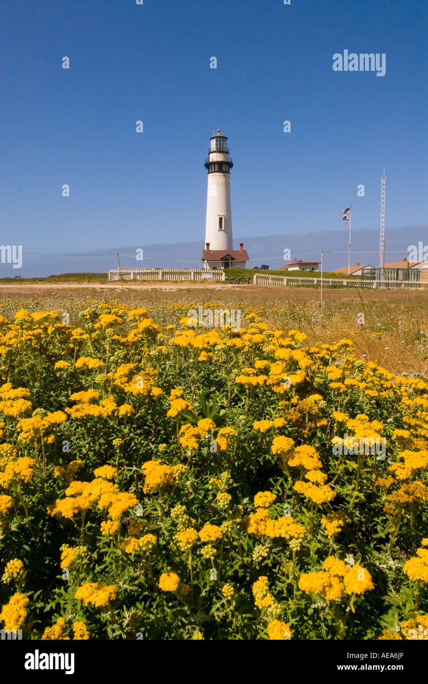 Pigeon Point Lighthouse major example of lighthouse architecture now a ...