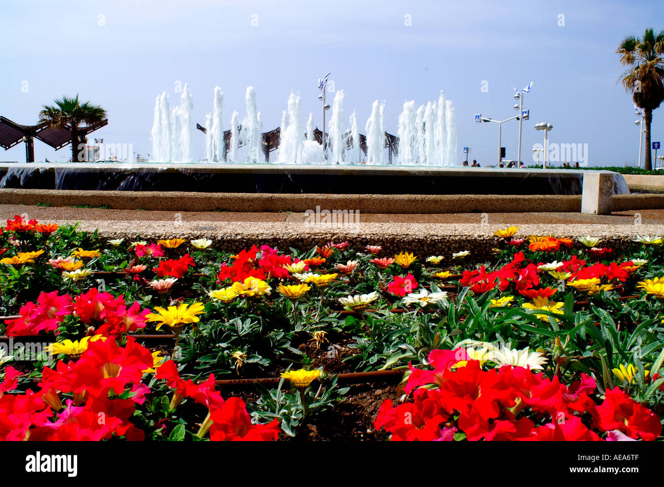 Tel Aviv Israel a water fountain Stock Photo - Alamy