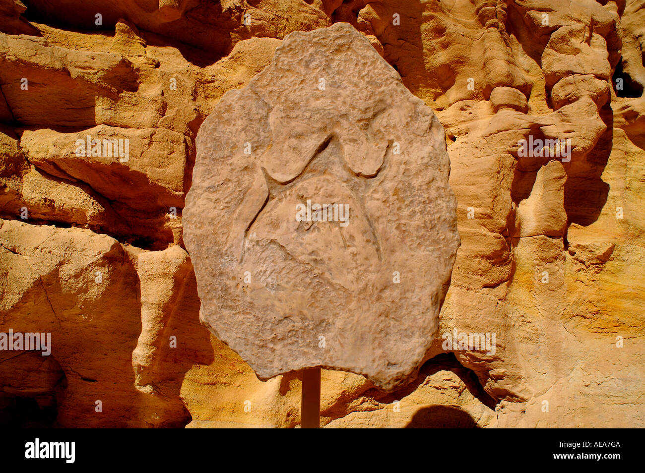 Prehistoric Rock art in the desert Timna natural and historic park ...