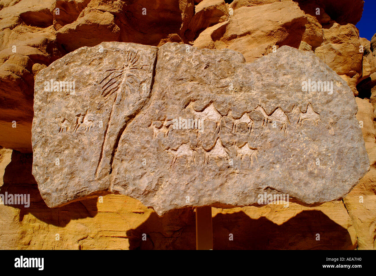 Prehistoric Rock art in the desert Timna natural and historic park ...