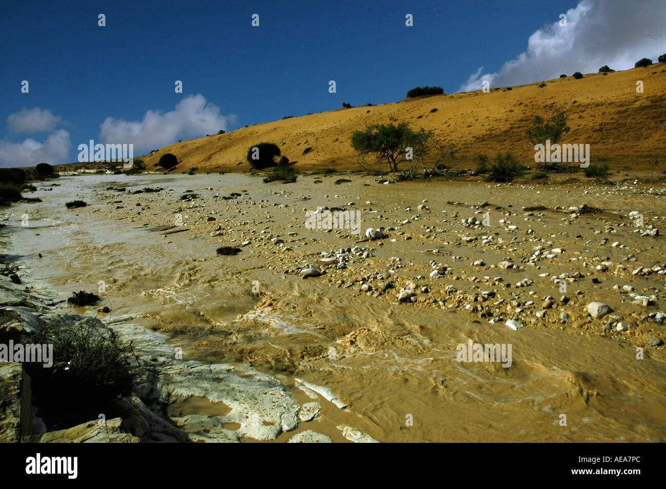 Flash flood in a desert river Tzin south Israel Stock Photo - Alamy