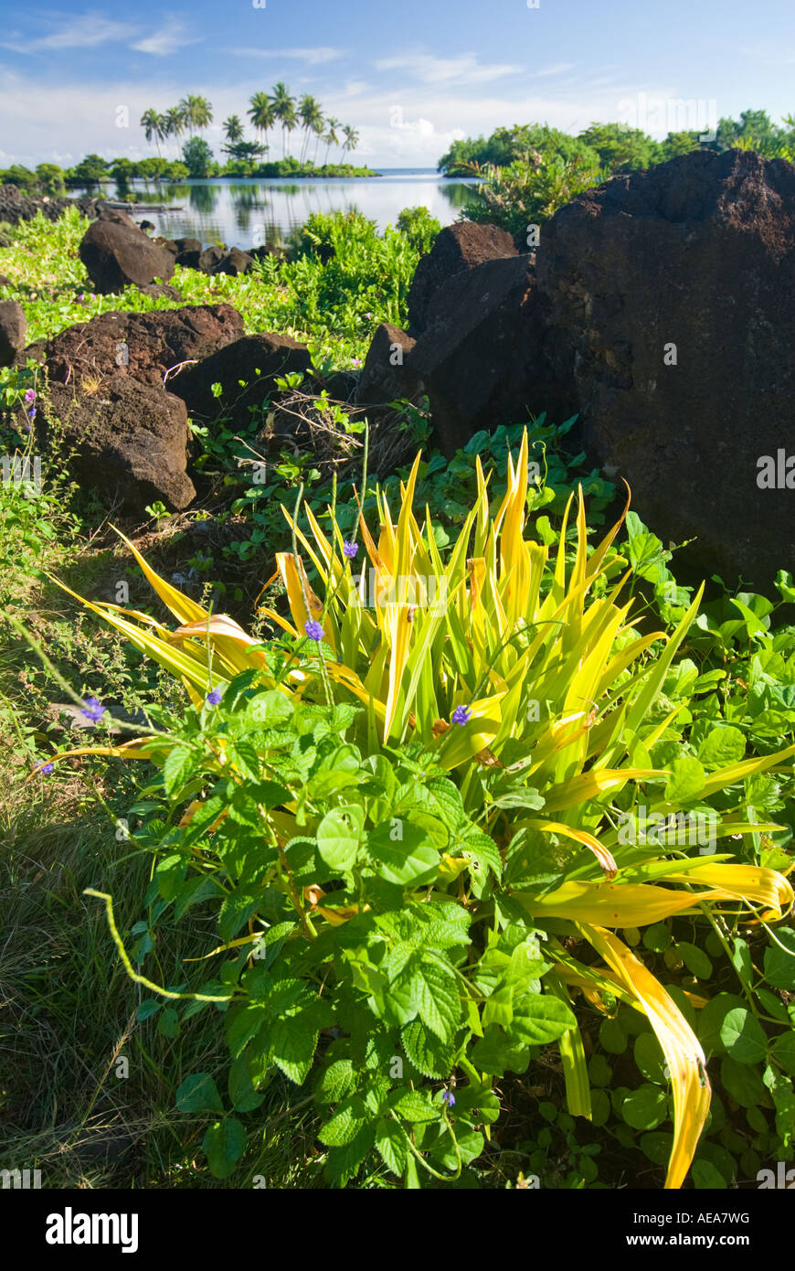 SAVAI Western Samoa lava beach strand south coast volcano volcanic rock ...