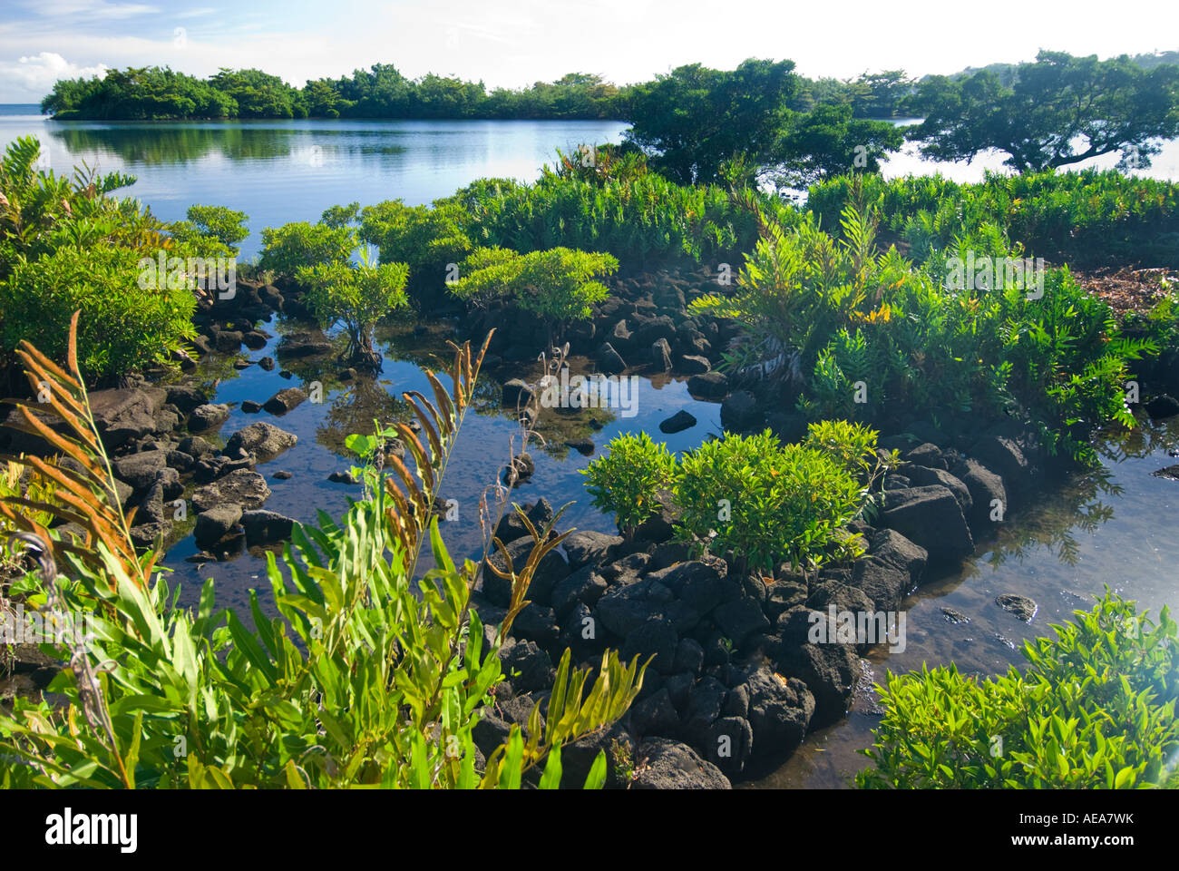 SAVAI Western Samoa lava beach strand south coast volcano volcanic rock ...