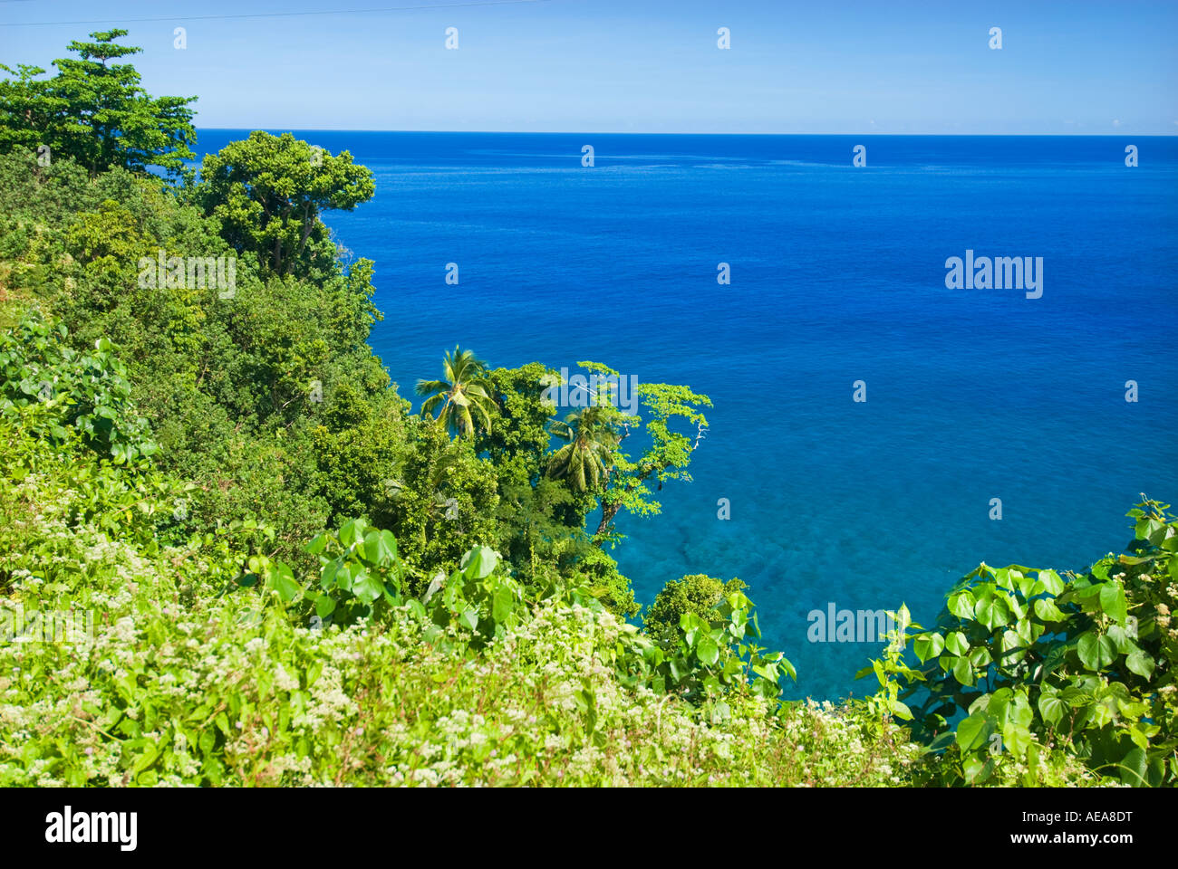 SAMOA SAVAII most western point region kap head of savaii island strand ...