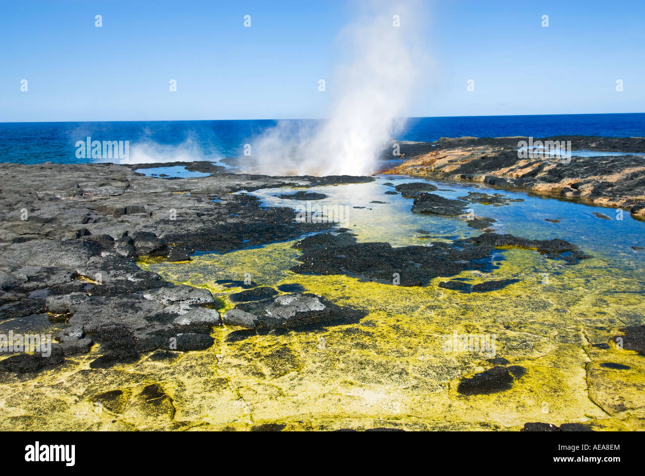 blow holes southcoast of Savaii Lavafield coast shore SAMOA Lava Field ...