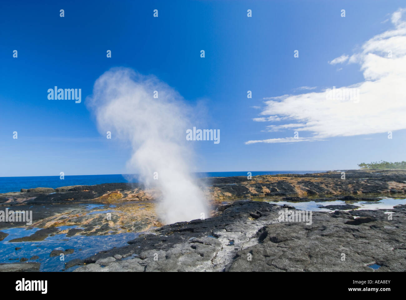 TAGA blowholes blow holes southcoast of Savaii Lavafield coast shore ...