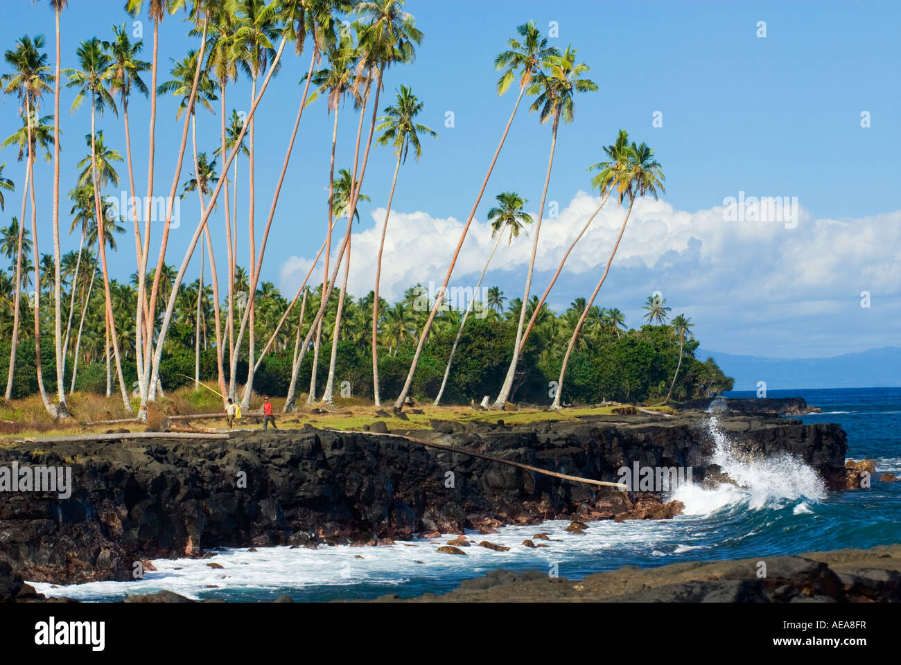 Savaii island hi-res stock photography and images - Alamy