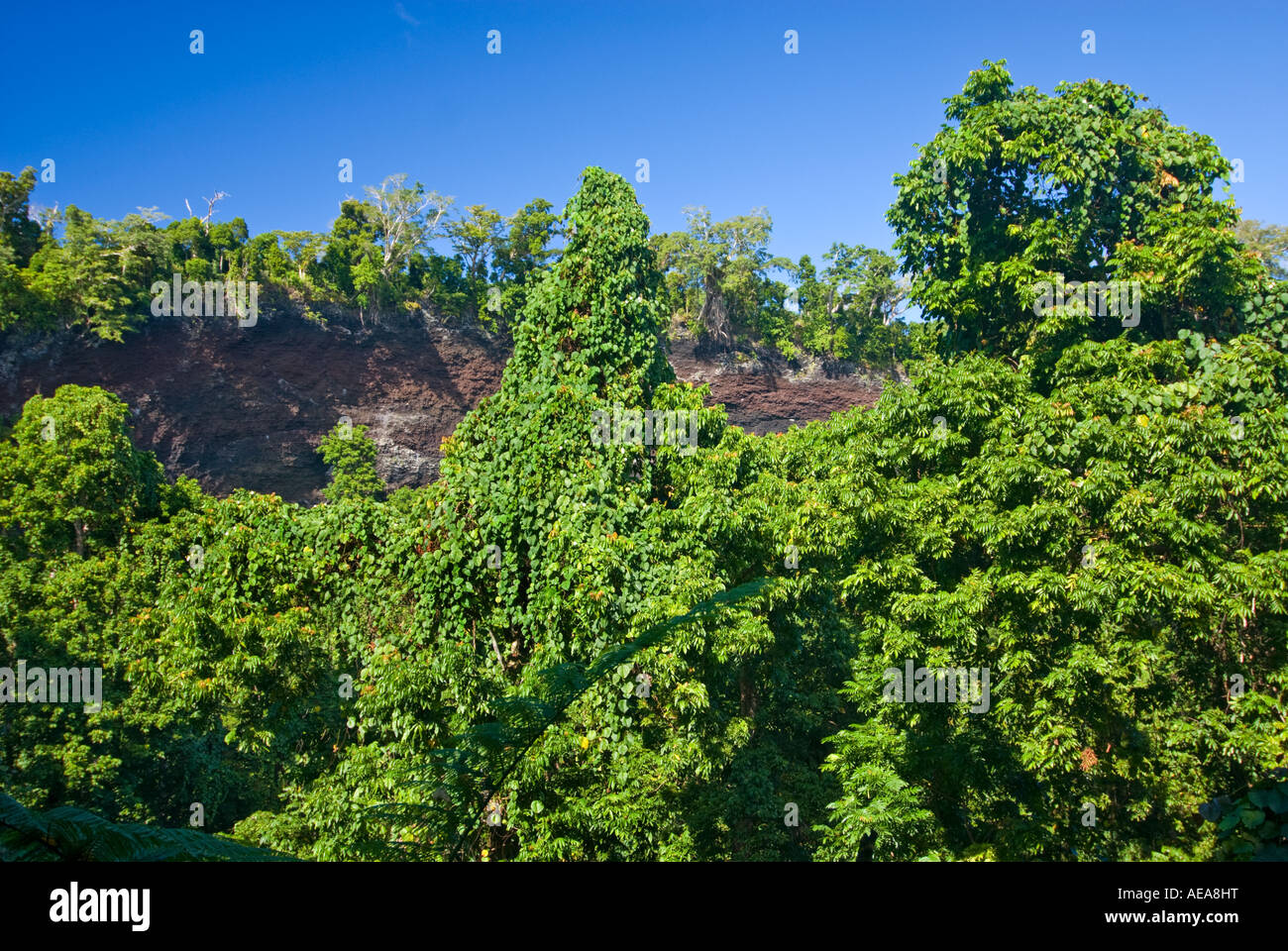 MOUNT TAFUA rainforesst preserve SAMOA SAVAII volcano volcanic jungle ...