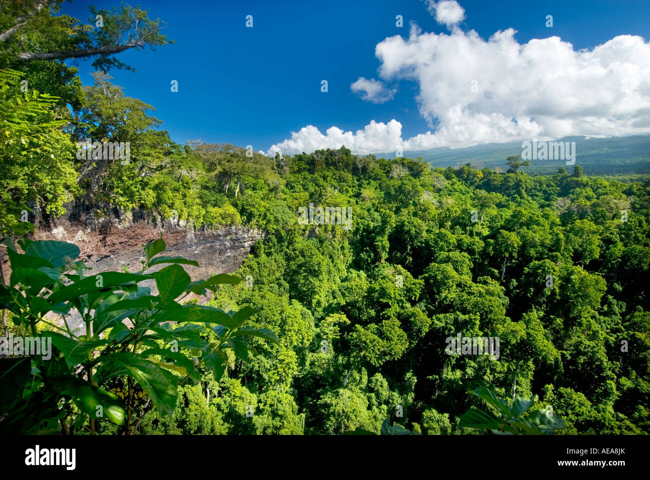 MOUNT TAFUA rainforesst preserve SAMOA SAVAII volcano volcanic jungle ...