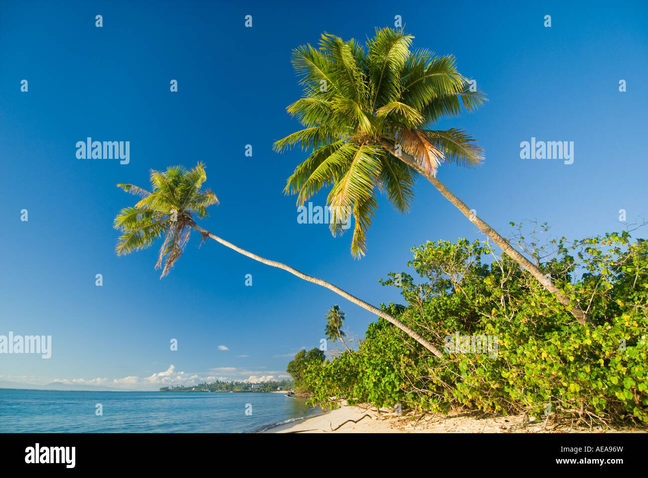Samoa Beach High Resolution Stock Photography and Images - Alamy