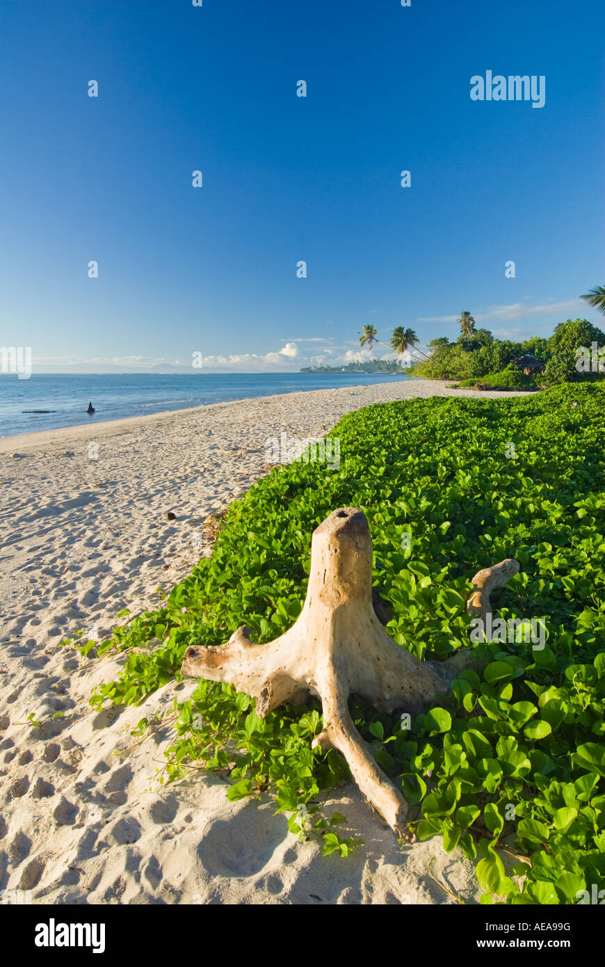 SAVAI Western Samoa beach strand MANASE south coast Stock Photo - Alamy