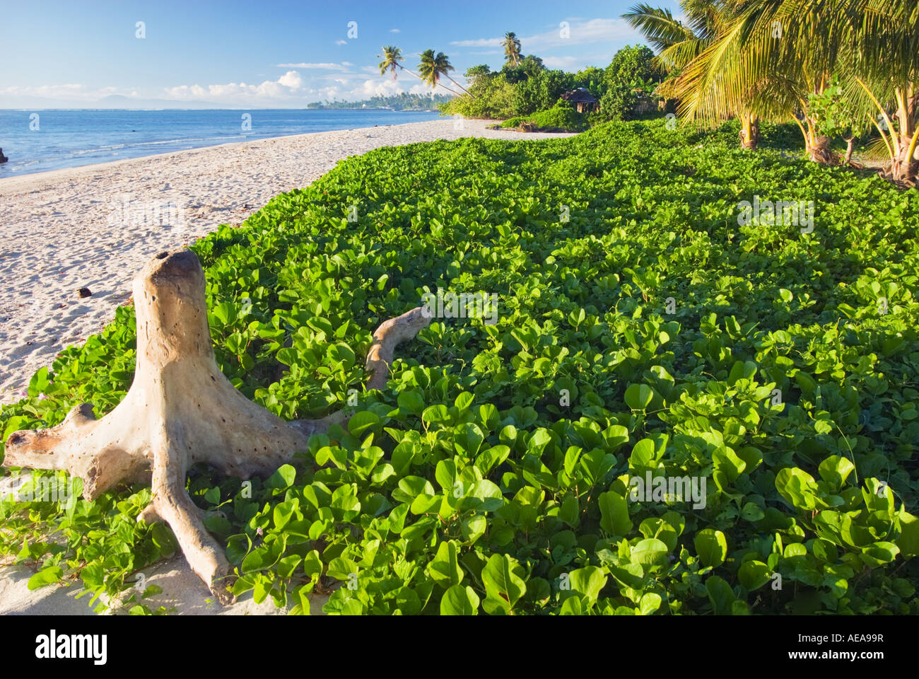 SAVAI Western Samoa beach strand MANASE south coast Stock Photo - Alamy
