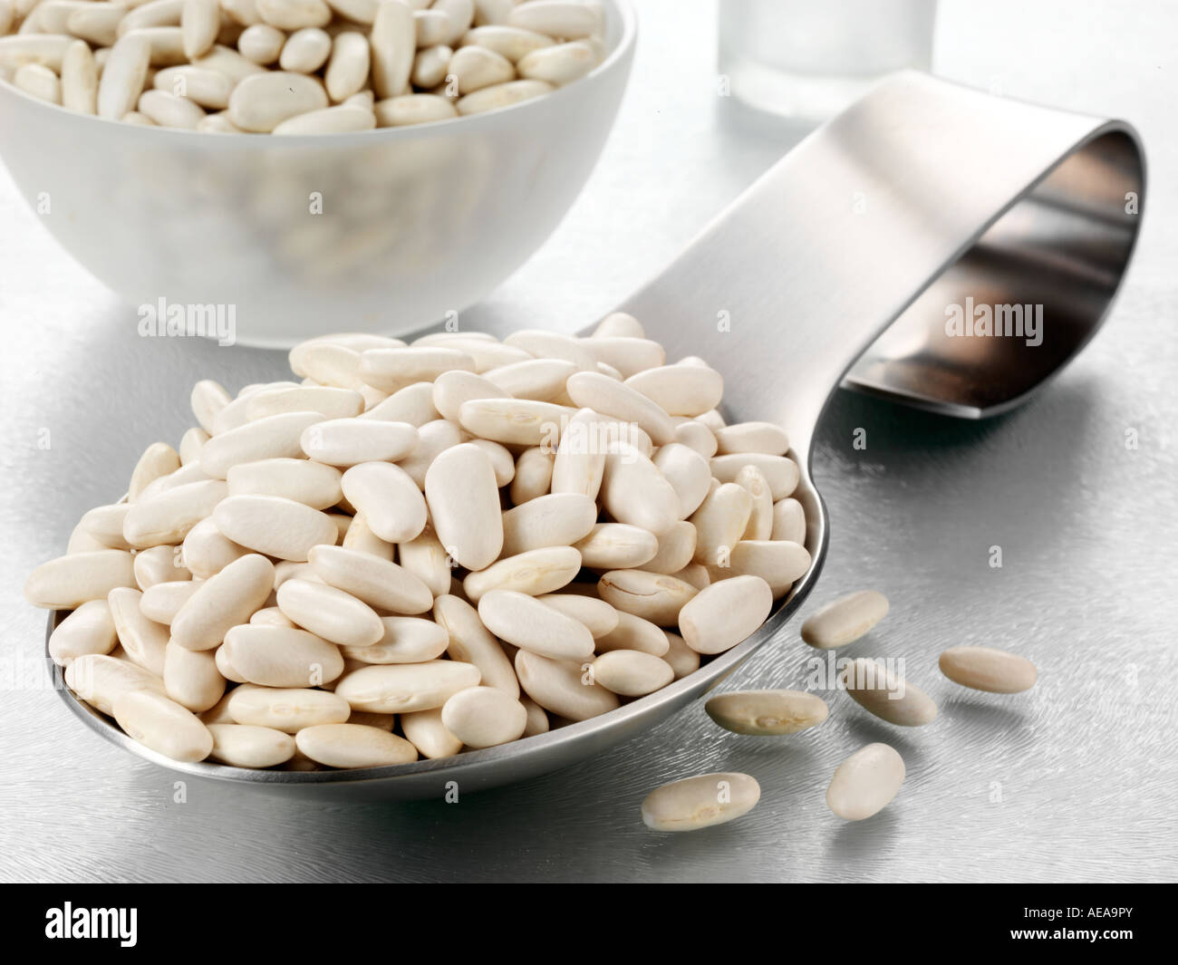 SPOONFUL OF ALUBIA BEANS OR CANNELLINI BEANS Stock Photo - Alamy