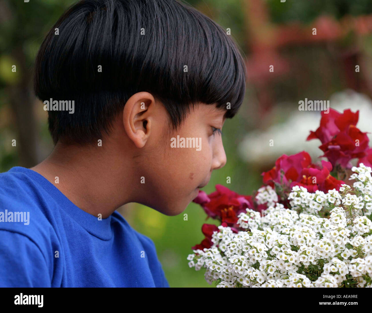 Child smelling flowers hi-res stock photography and images - Alamy