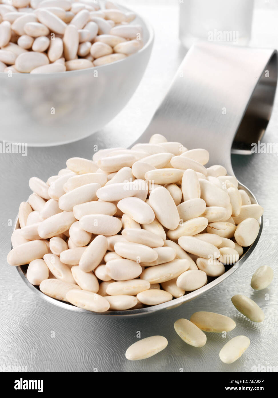 SPOONFUL OF ALUBIA BEANS CANNELLINI BEANS Stock Photo - Alamy