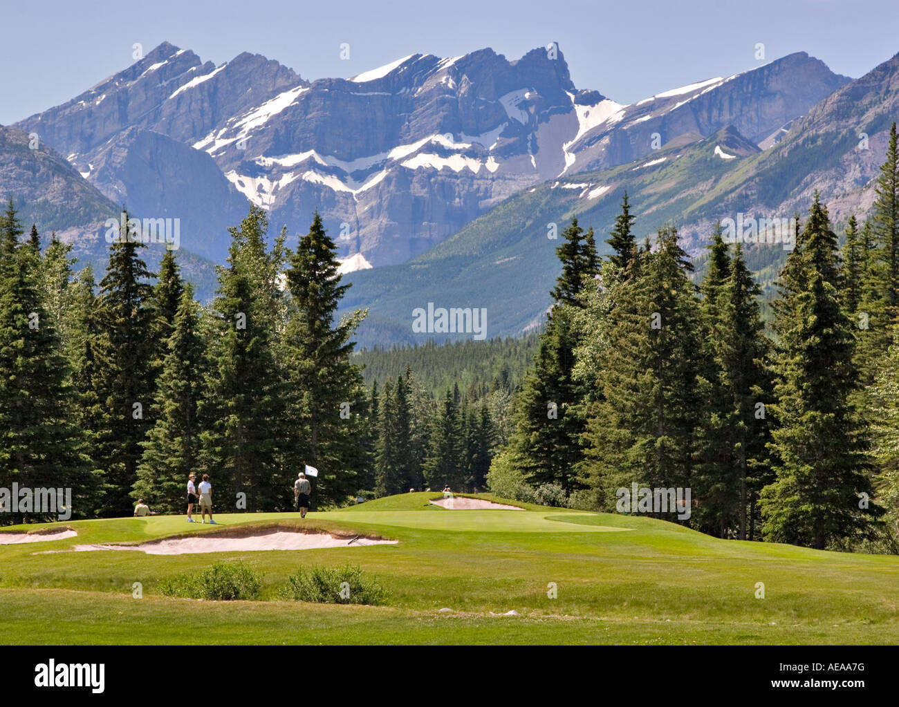 Kananaskis mountain sand trap pine hi-res stock photography and images ...