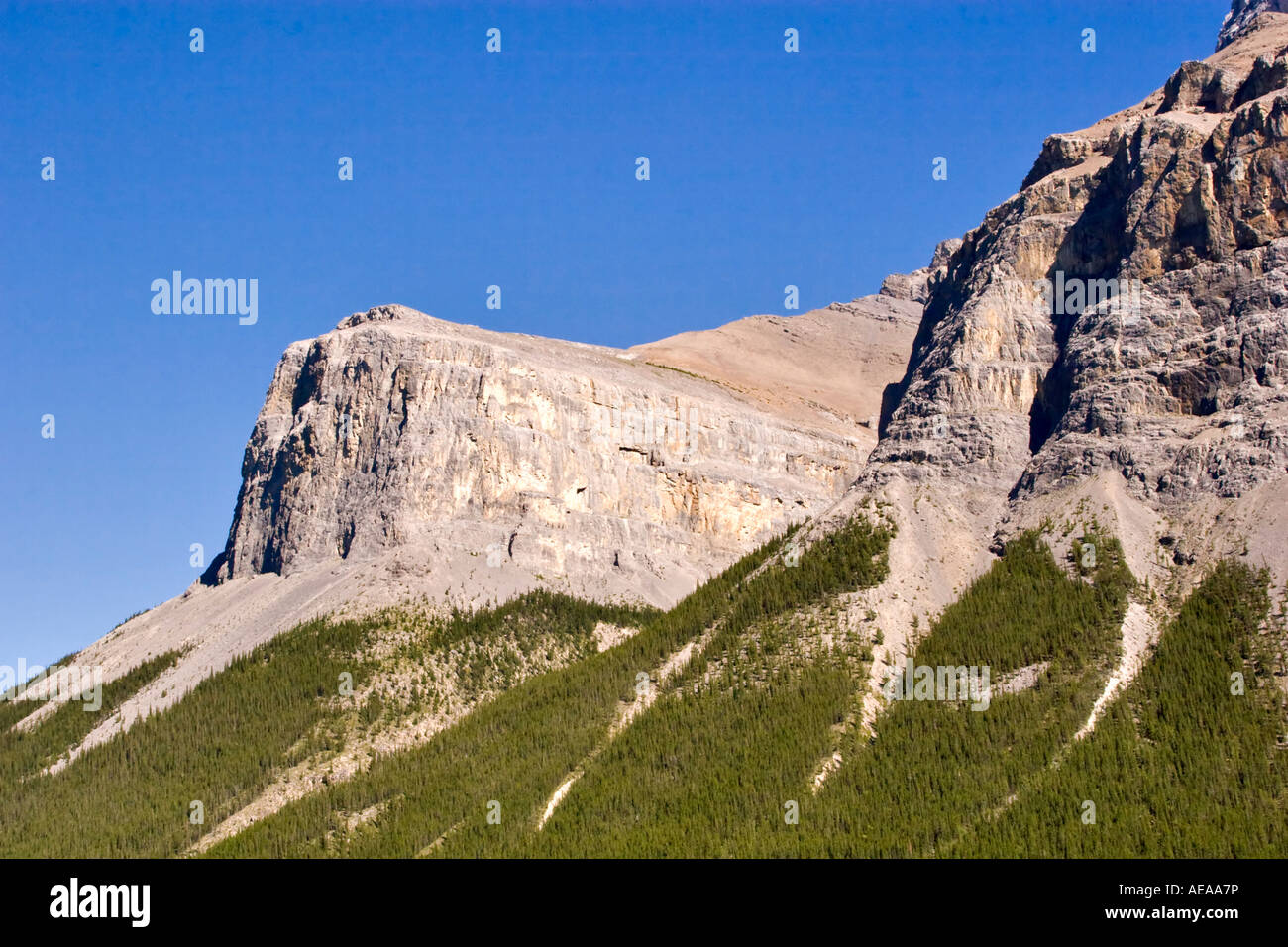 Geological Formations Above Forested Slopes at Lake Minnewanka, Banff ...