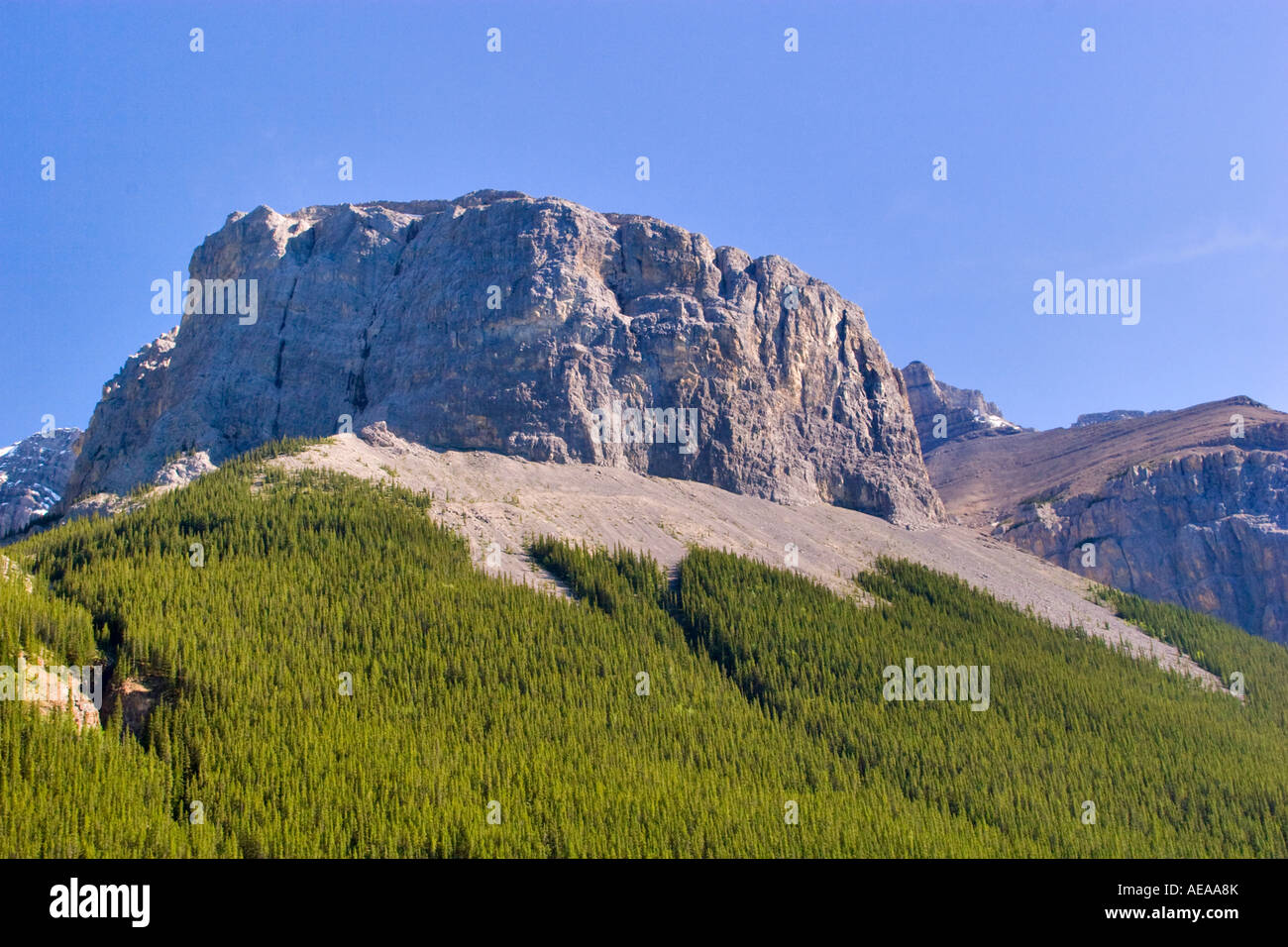 Geological Formation and Forested Slopes at Lake Minnewanka, Banff ...