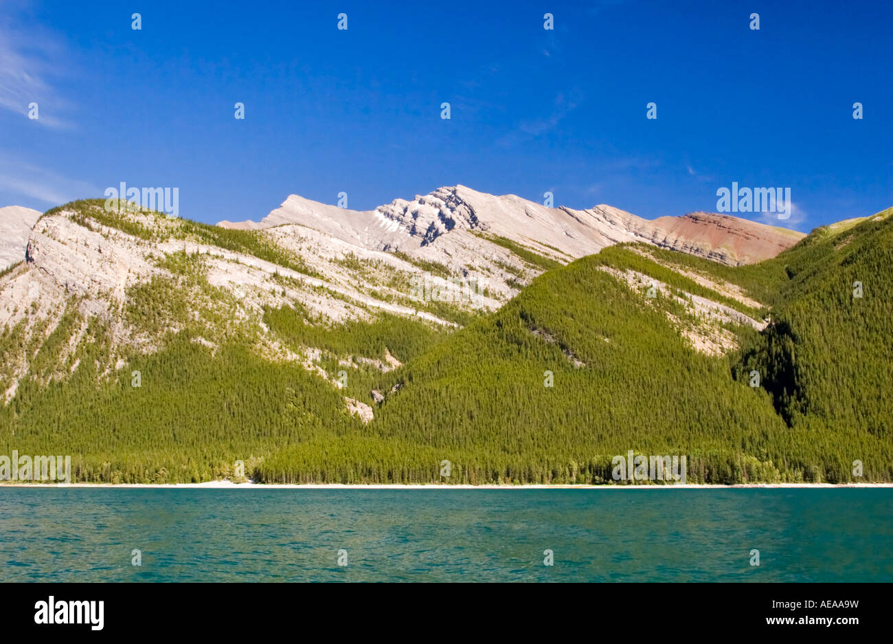 Pine Forests and Bare Mountain Peaks at Lake Minnewanka, Banff National ...