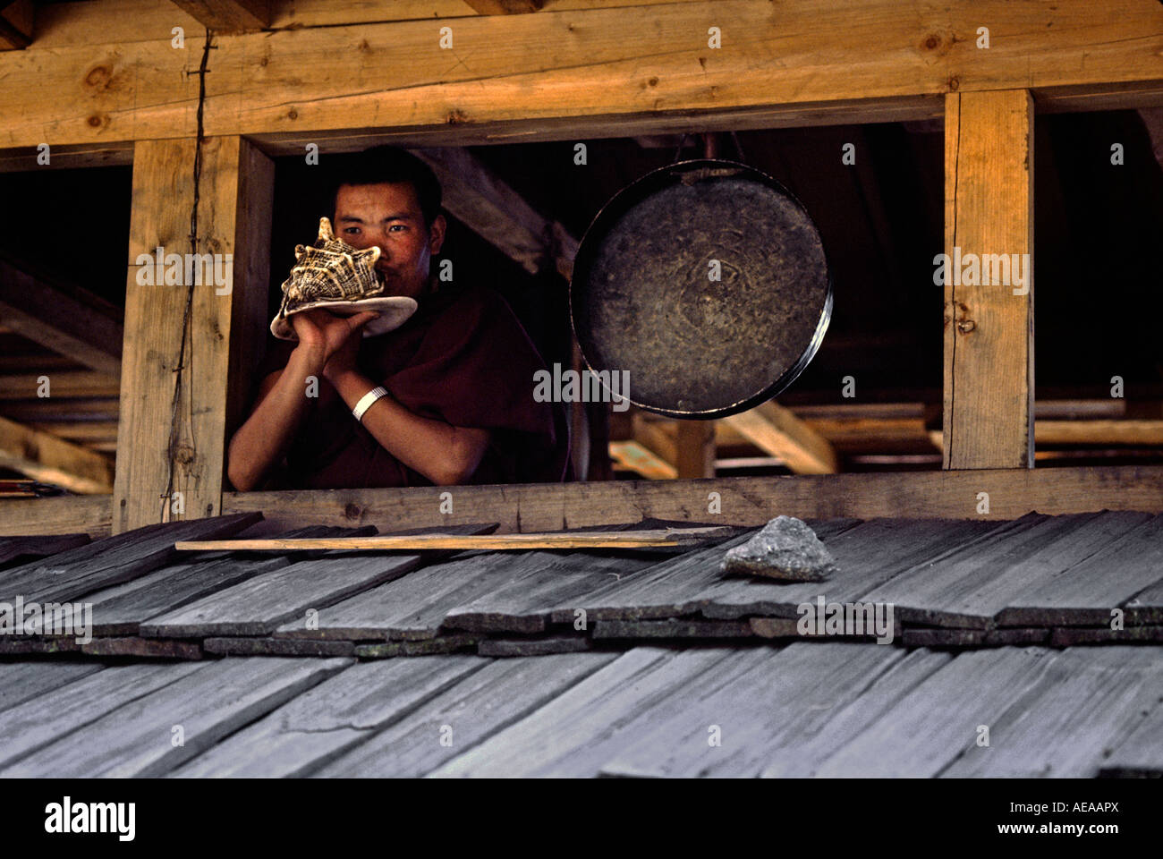 Tibetan Buddhist Monk blows conch shell to bring the devout to prayer ...