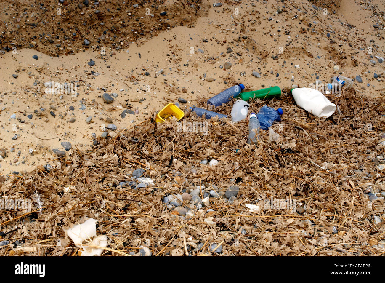 Flotsam on Tide Line Stock Photo - Alamy