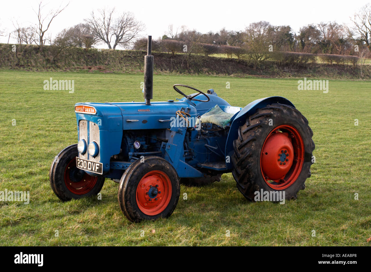 Fordson Super Dexta Tractor Stock Photo - Alamy