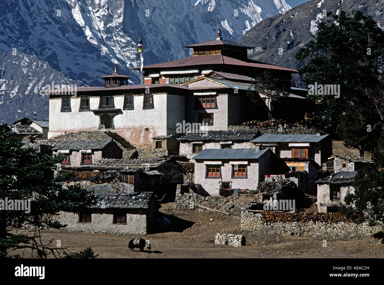 Thyangboche Monastery is the Sherpa s main religious cultural center ...