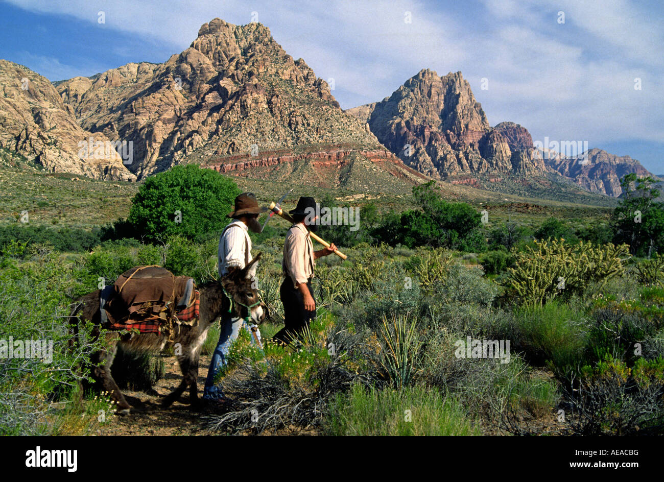 Gold prospector donkey hi-res stock photography and images - Alamy