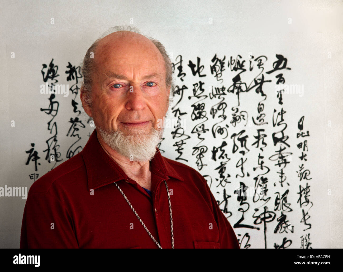 Portrait of DON PARKER with CALLIGRAPHY Stock Photo - Alamy