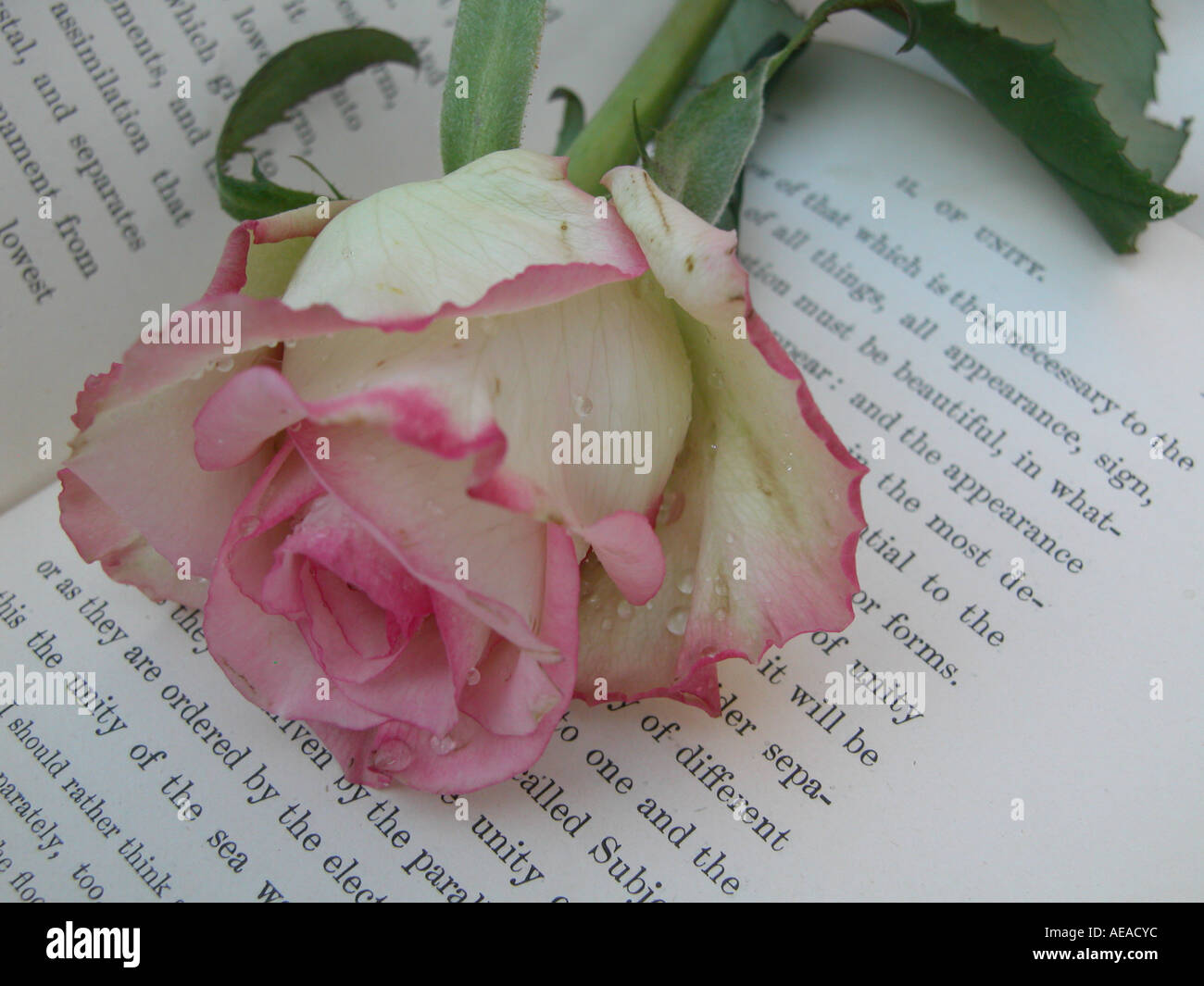 Unity chapter hi-res stock photography and images - Alamy