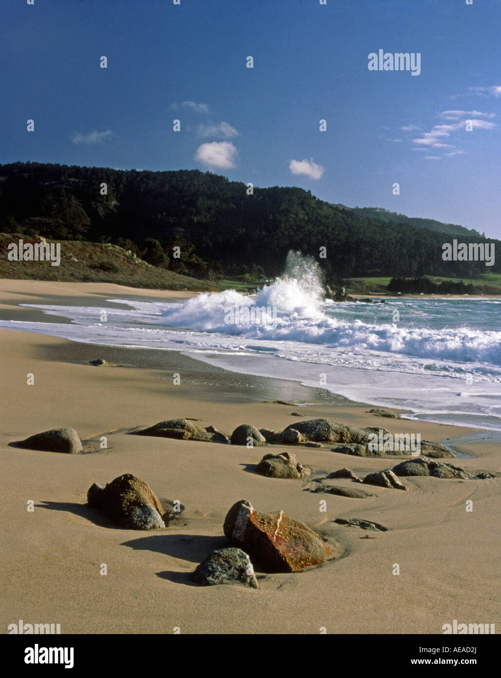 Point Lobos Sp High Resolution Stock Photography and Images - Alamy