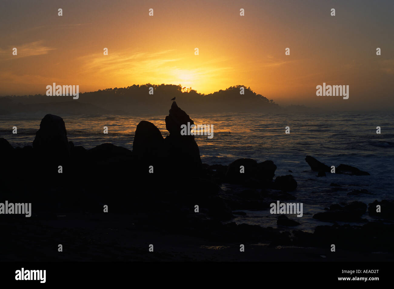The PACIFIC OCEAN at sunset at POINT LOBOS STATE PARK CARMEL CALIFORNIA ...