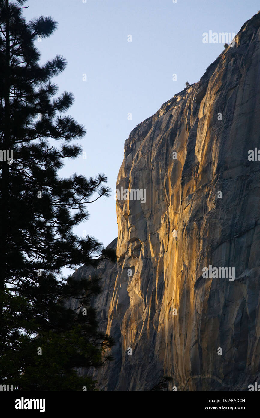 Sunset on EL CAPITAN in YOSEMITE VALLEY YOSEMITE NATIONAL PARK ...