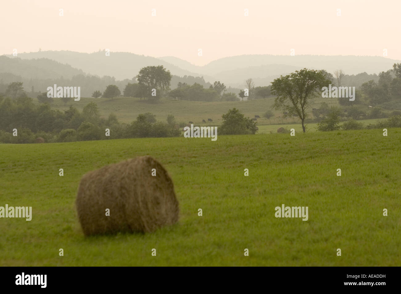 Hay Bale in Field Stock Photo - Alamy