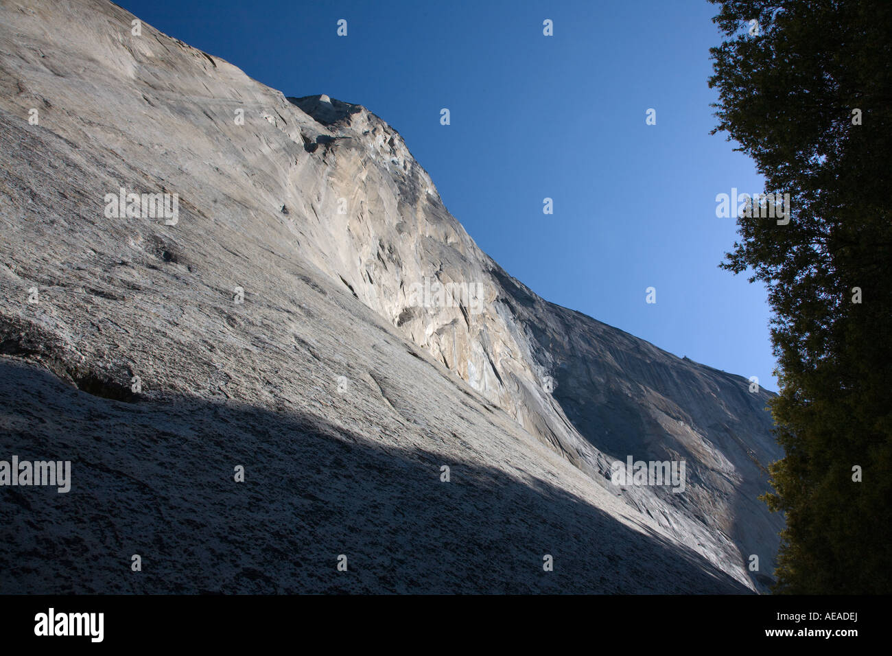 Looking up from the base of EL CAPITAN in YOSEMITE VALLEY YOSEMITE ...