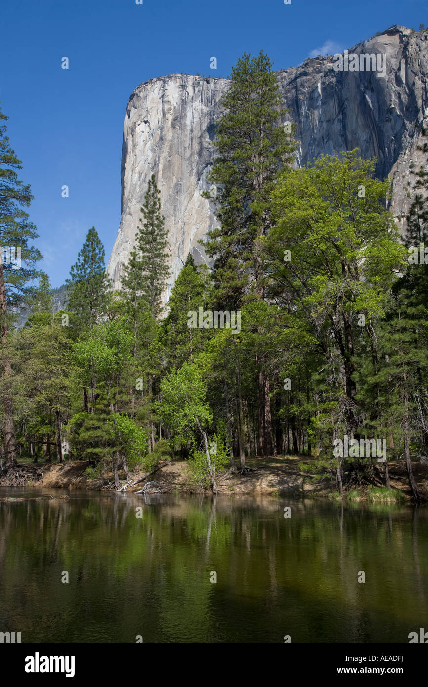 The MERCED RIVER flows below EL CAPITAN in the YOSEMITE VALLEY in ...
