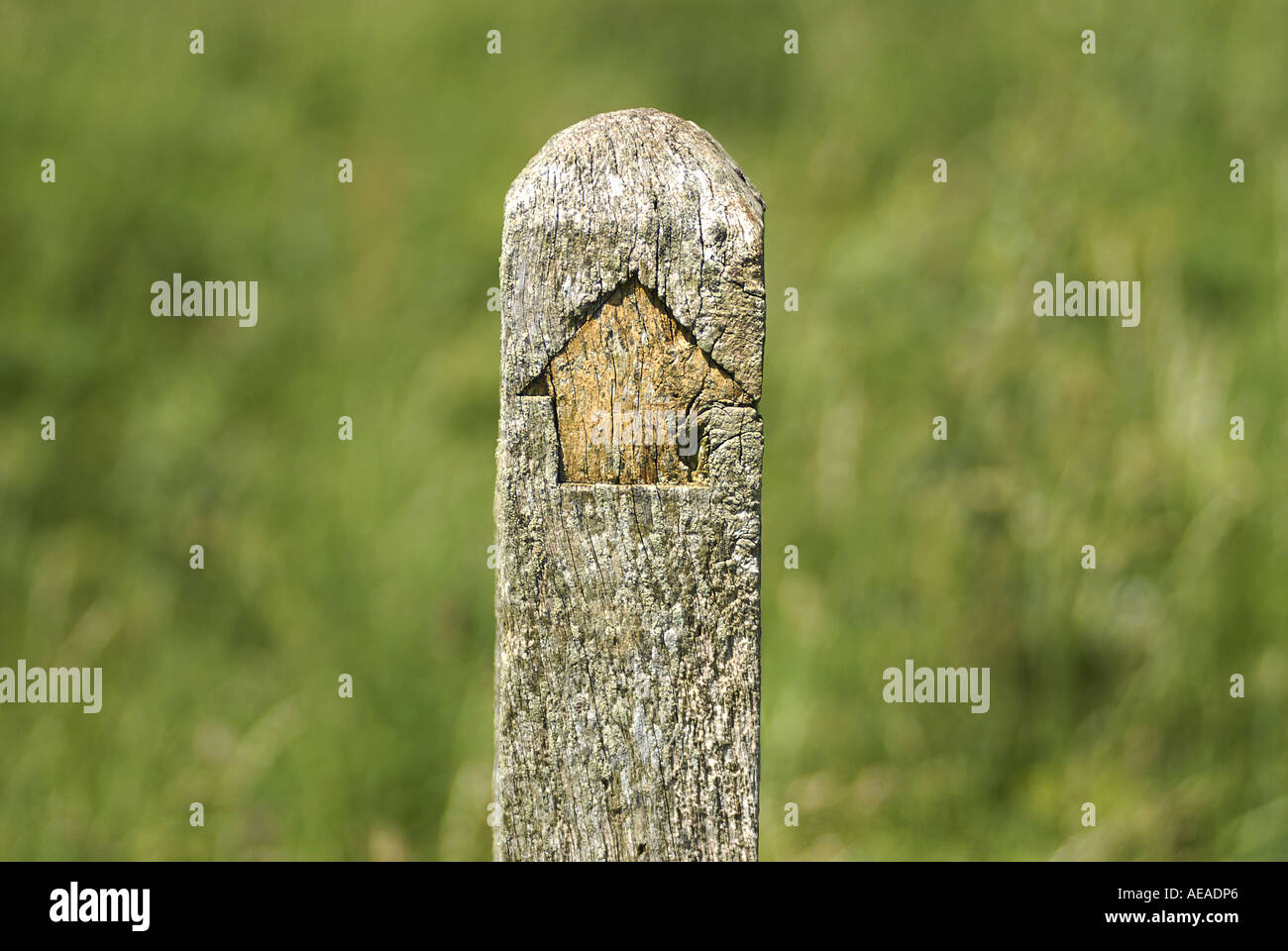 South downs way old route hi-res stock photography and images - Alamy