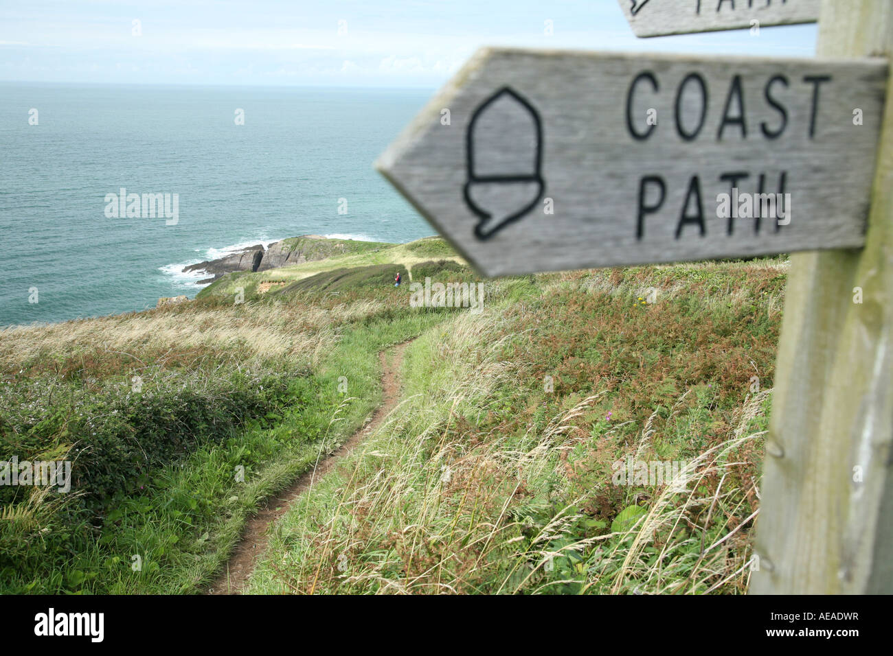 coast path sign post near ilfracombe north devon Stock Photo - Alamy