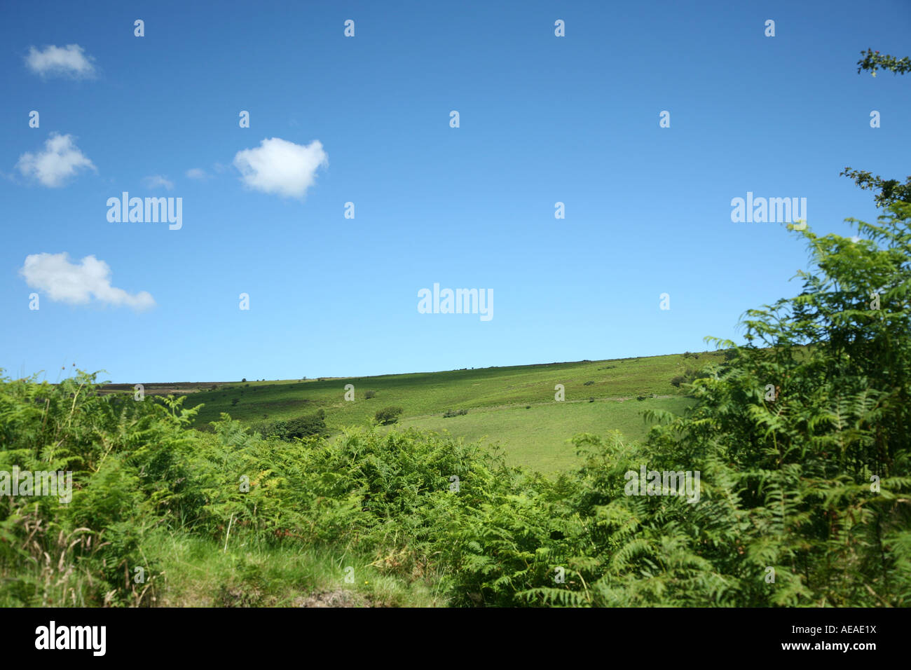 landscape photo of landacre in exmoor Stock Photo - Alamy