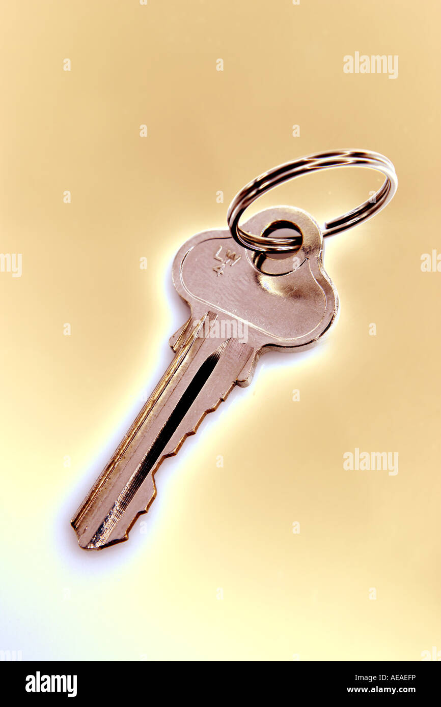 Key and keyring Stock Photo - Alamy