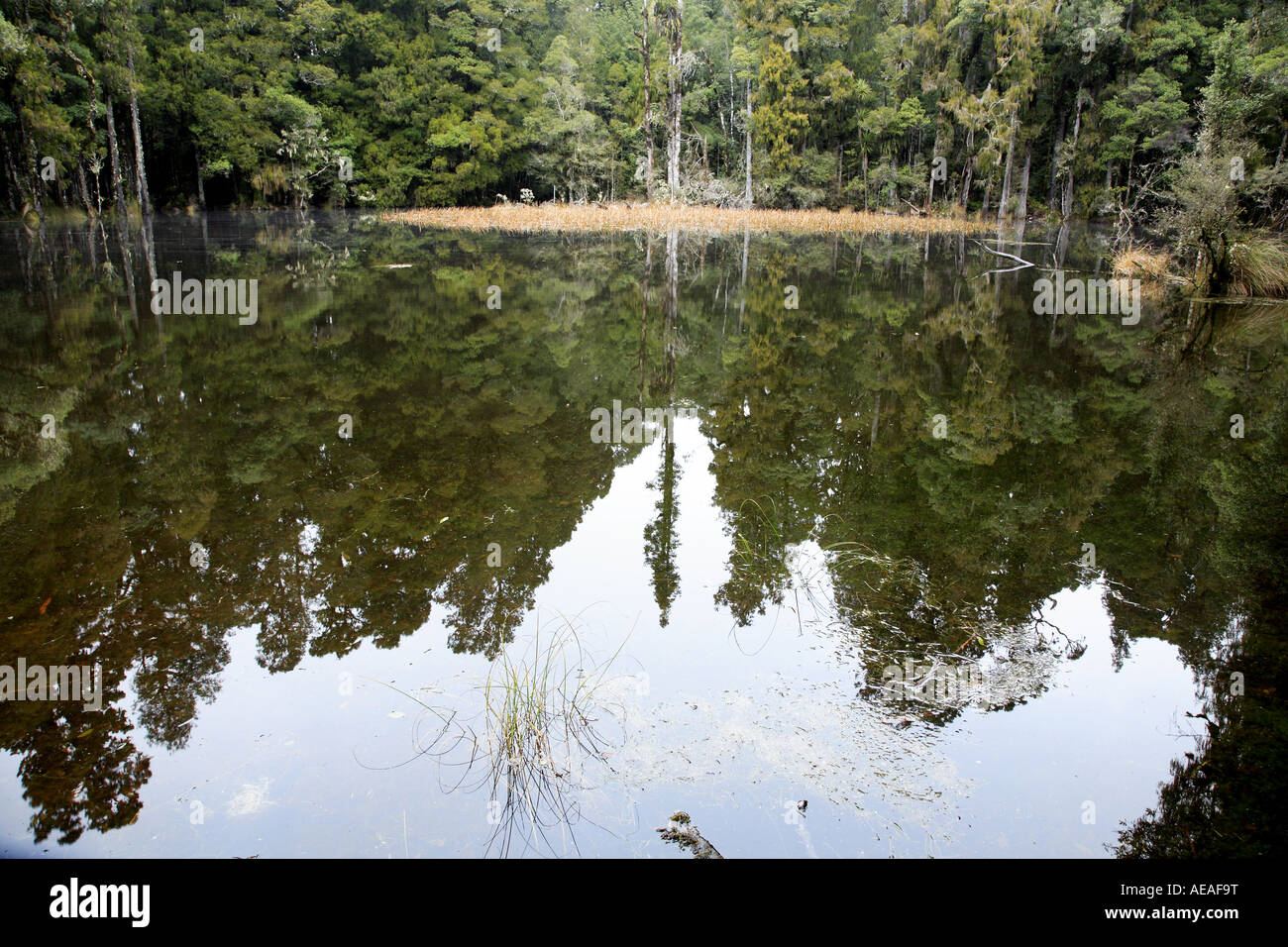 Waihora lagoon hi-res stock photography and images - Alamy