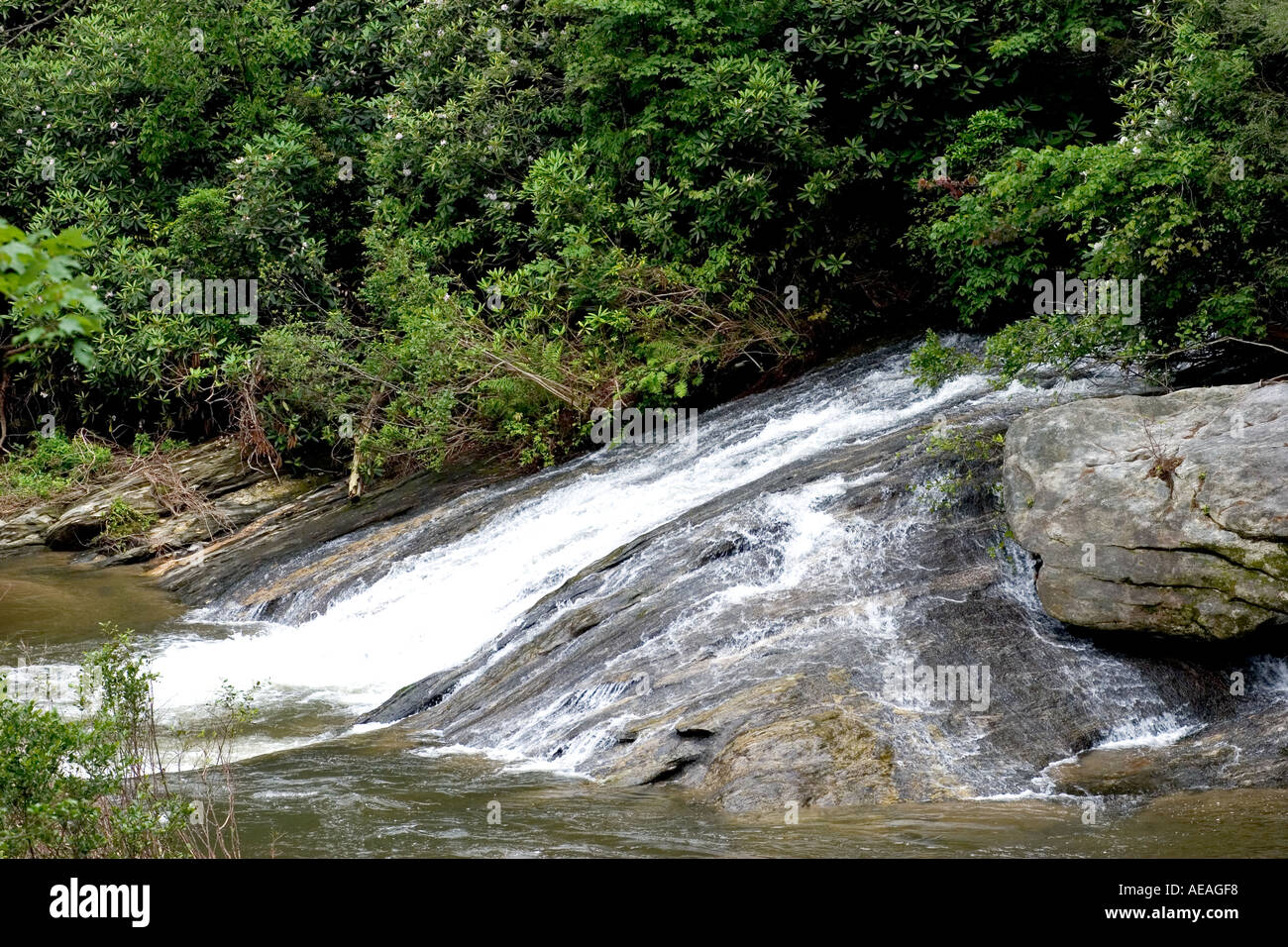 Scenic river Southern USA Stock Photo - Alamy