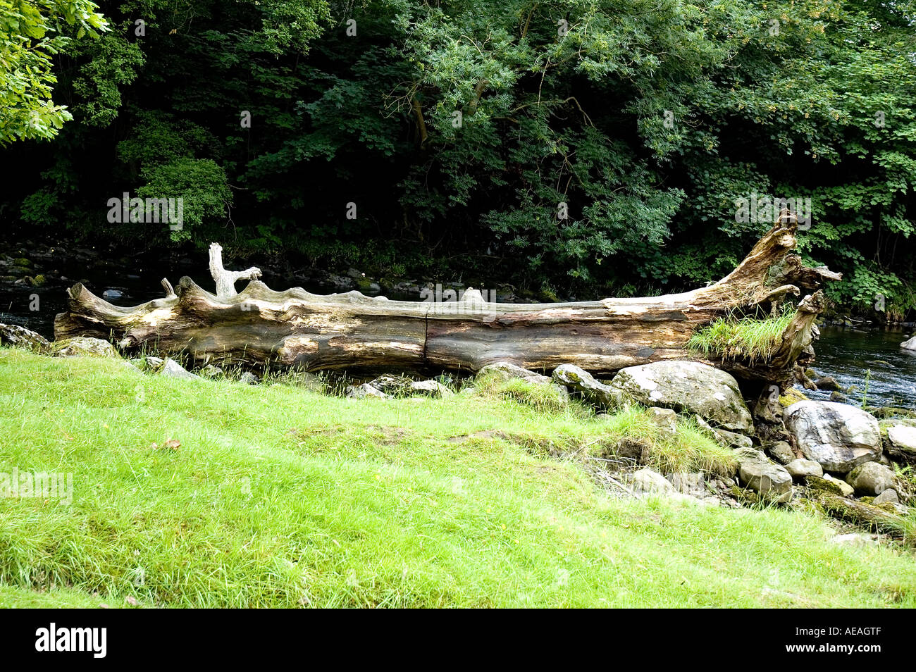 Fallen ring hi-res stock photography and images - Alamy