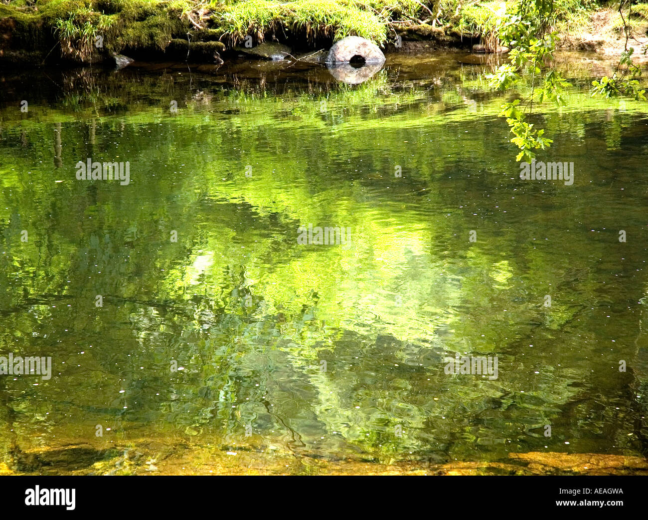 Arfon Lugwy at Betws-Y-Coed Stock Photo - Alamy