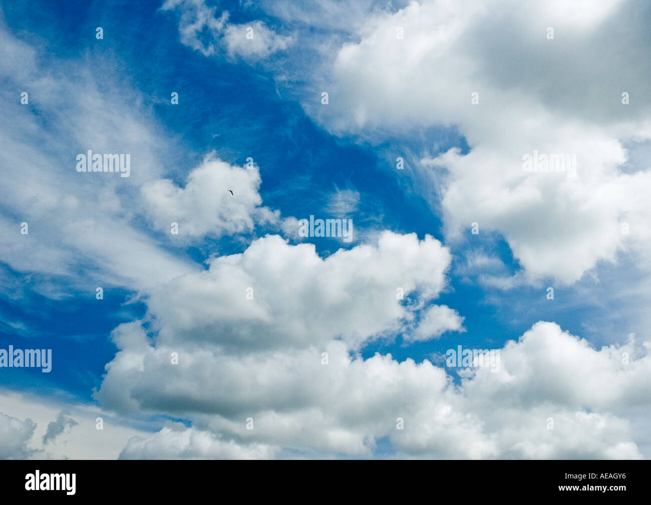 White puffy cumulus clouds cloud skies meteorology weather background ... White puffy cumulus clouds cloud skies meteorology weather background ...