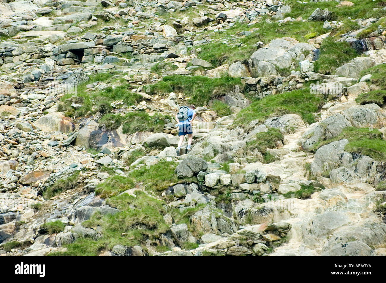 Walker climbing the miners track,UK Stock Photo - Alamy