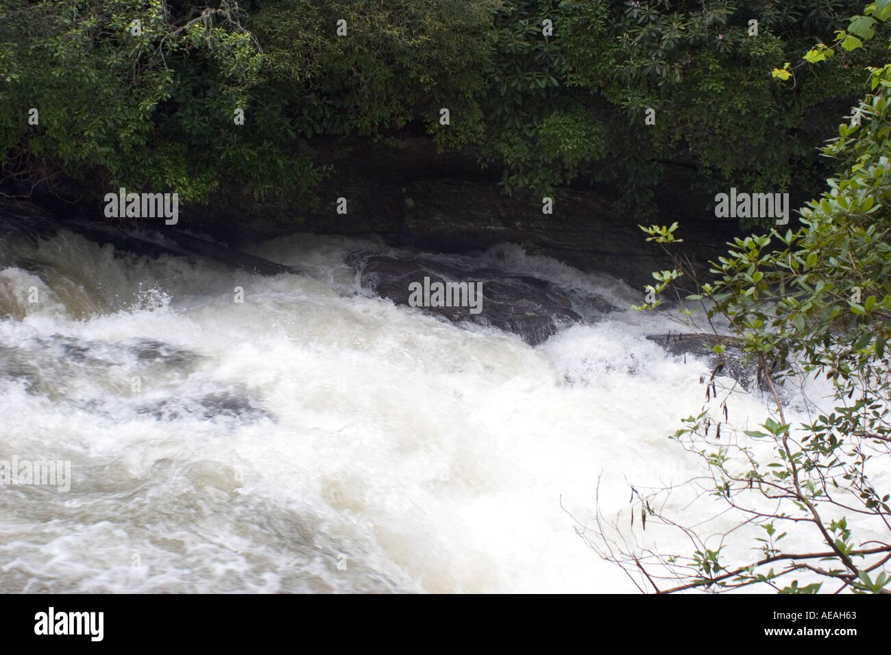 White water rushing Stock Photo - Alamy